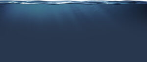 SmoothSailingRum | Smooth Sailing Rum